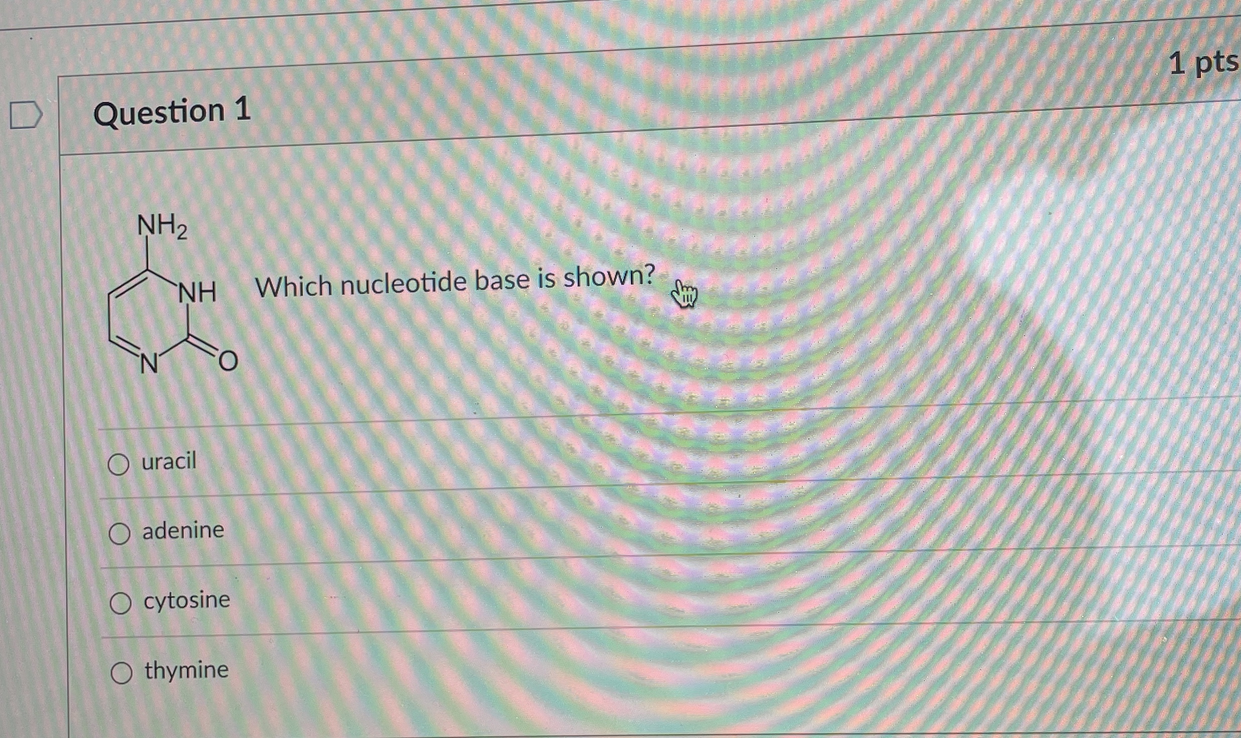 Solved Question 11 ptsWhich nucleotide base is | Chegg.com Solved Question 11 ptsWhich nucleotide base is | Chegg.com
