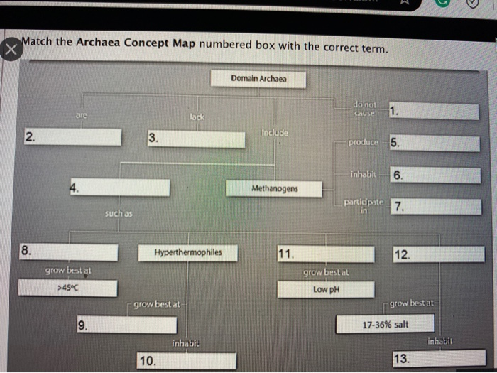 Solved Match the Archaea Concept Map numbered box with the | Chegg.com
