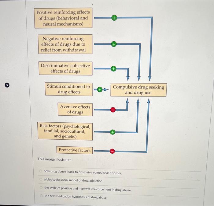 Solved how drug abuse leads to obsessive compulsive | Chegg.com