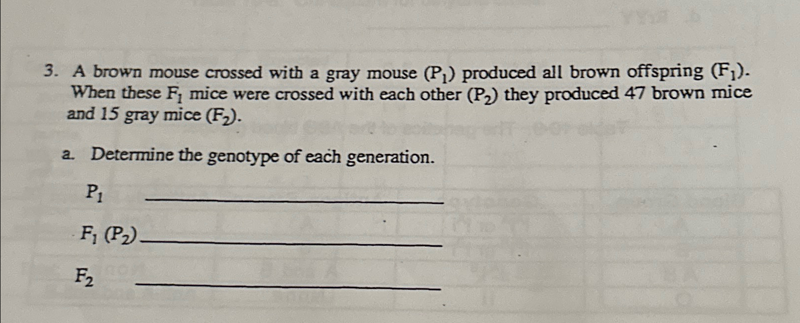 A brown mouse crossed with a gray mouse (P1) | Chegg.com