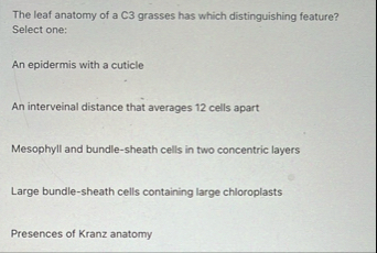 Solved The leaf anatomy of a C3 ﻿grasses has which | Chegg.com