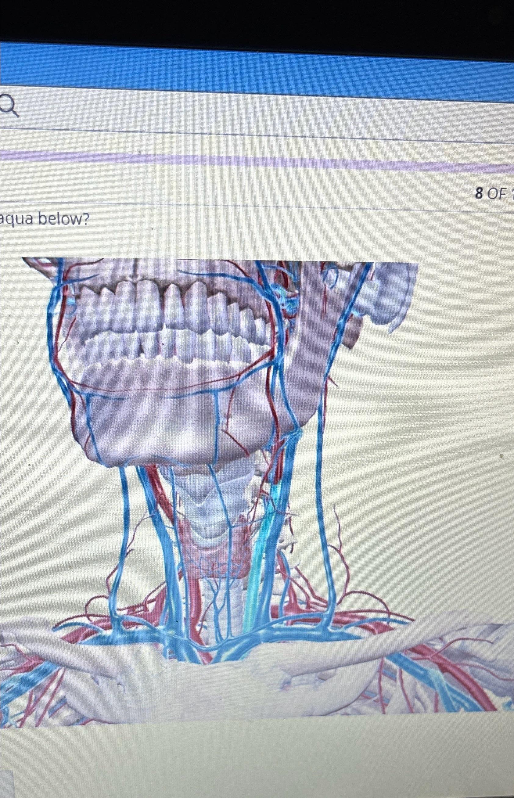Solved 8 ﻿OFqua below? | Chegg.com