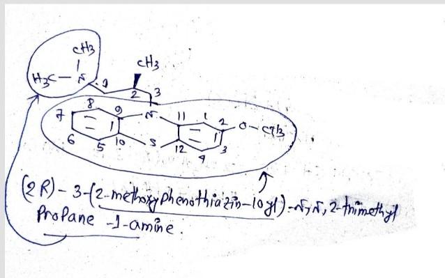 Solved Recognize and indicate in the figure, the functional | Chegg.com