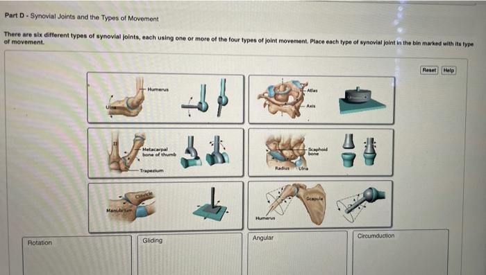 Solved theres 6 joints only 4 bins. can we classify them | Chegg.com