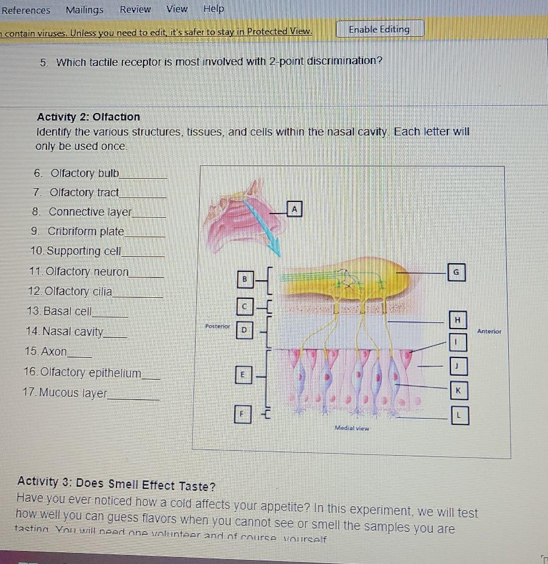 Solved References Mailings Review View Help 1 contain | Chegg.com