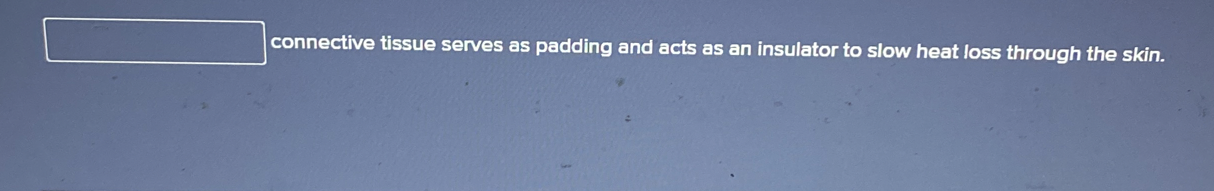 Solved connective tissue serves as padding and acts as an | Chegg.com
