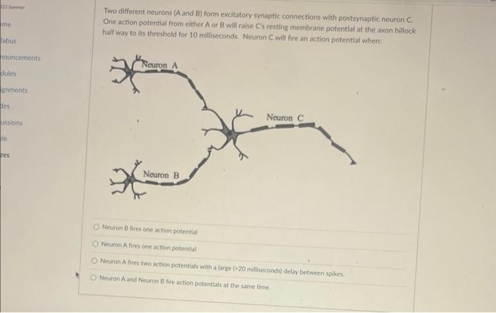 Solved Two different neurons ( A and B) form excitatory | Chegg.com