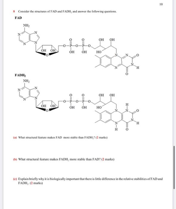 Solved 10 8 Consider the structures of FAD and FADH, and | Chegg.com