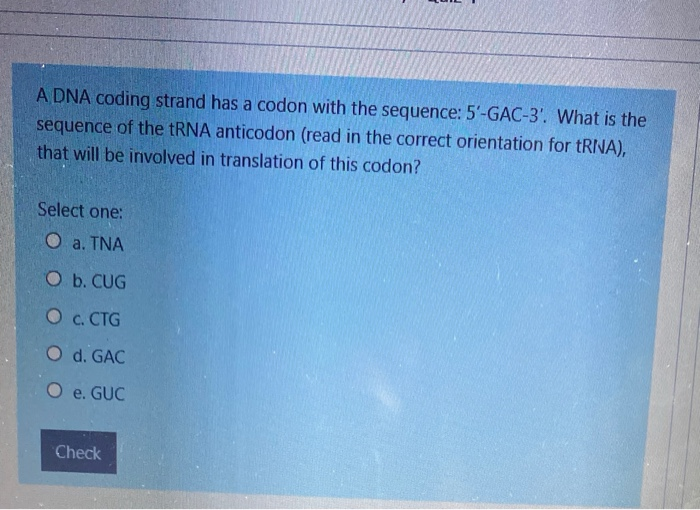 Solved A DNA coding strand has a codon with the sequence: | Chegg.com
