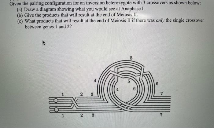 Given the pairing configuration for an inversion | Chegg.com