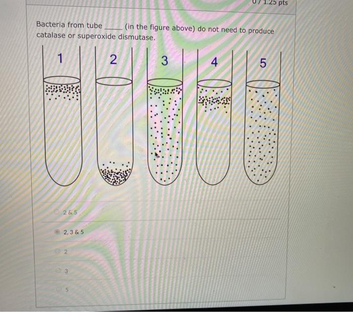 Solved pts Bacteria from tube (in the figure above) do not | Chegg.com