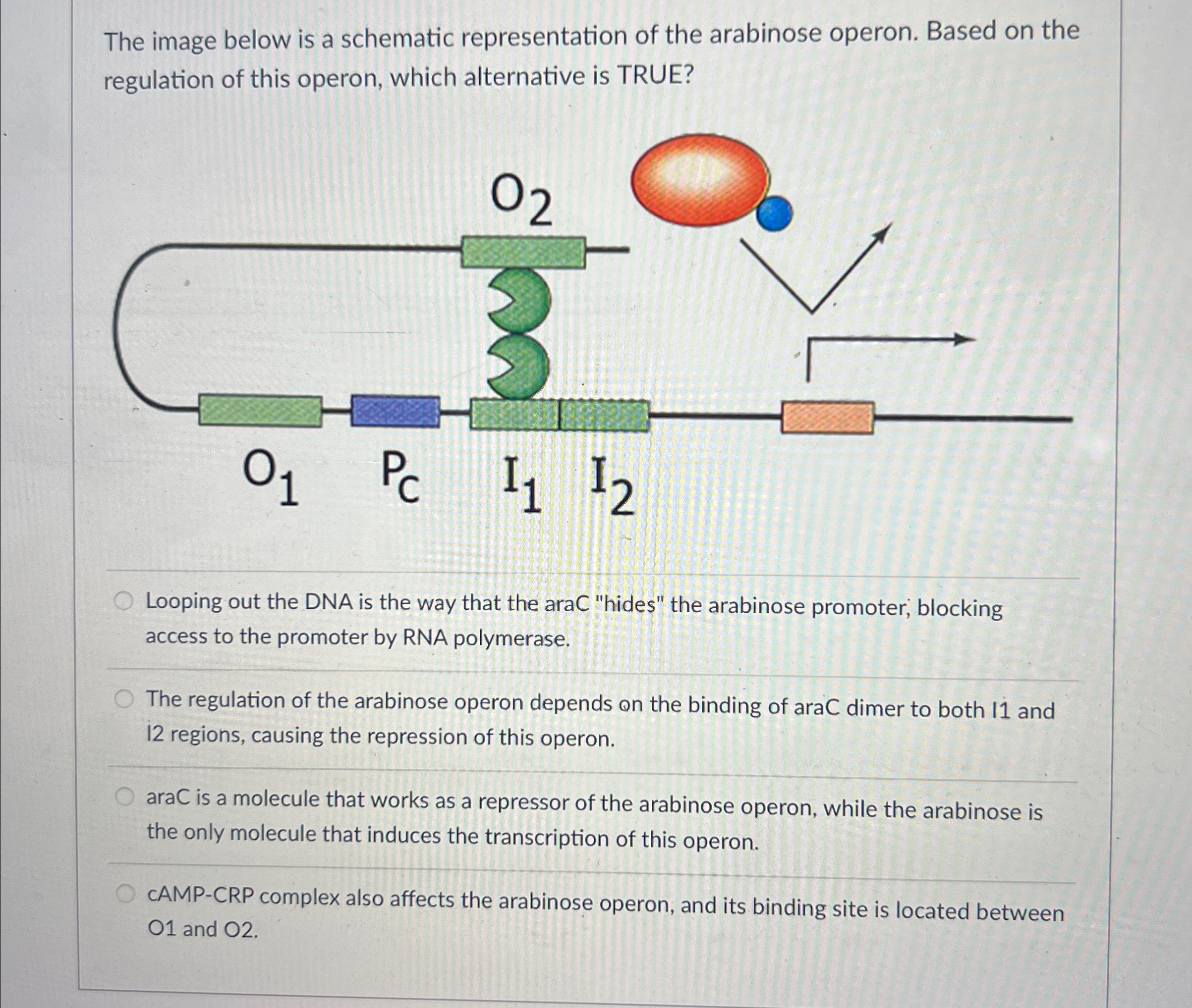 Solved The image below is a schematic representation of the | Chegg.com