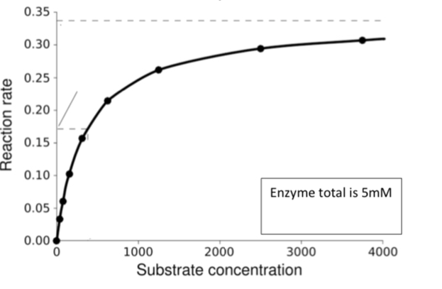 Solved The above graph is an enzyme reaction, what is the | Chegg.com