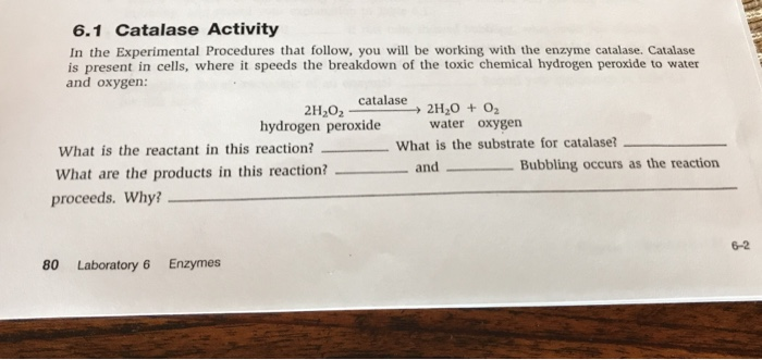Solved 6.1 Catalase Activity In the Experimental Procedures | Chegg.com