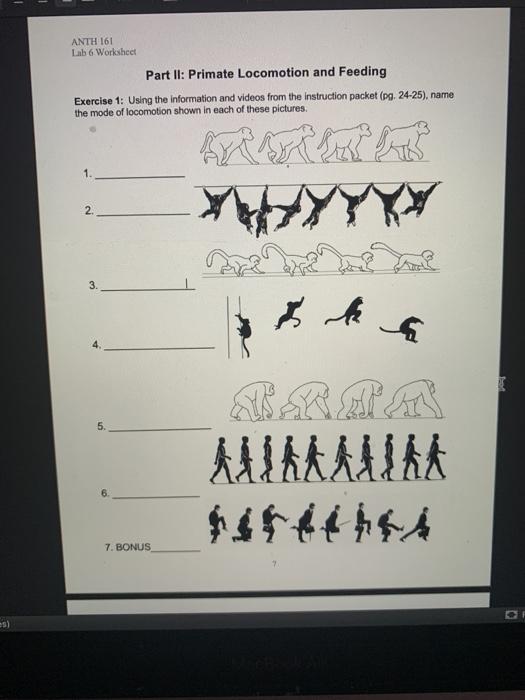 Solved ANTH 161 Lab 6 Worksheet Part II: Primate Locomotion | Chegg.com