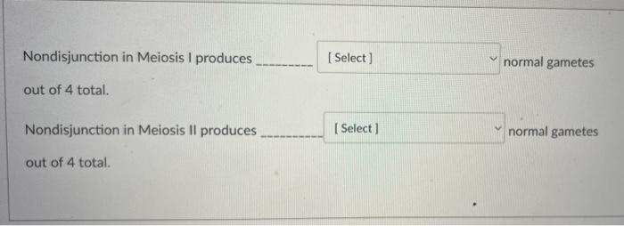 Solved Nondisjunction in Meiosis I produces out of 4 total. | Chegg.com