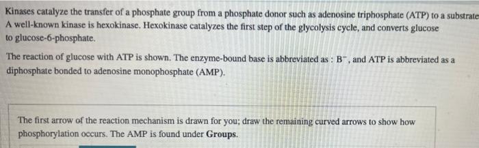 Solved Kinases catalyze the transfer of a phosphate group | Chegg.com