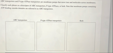 Solved ABC transporters and P-type ATPase transporters are | Chegg.com