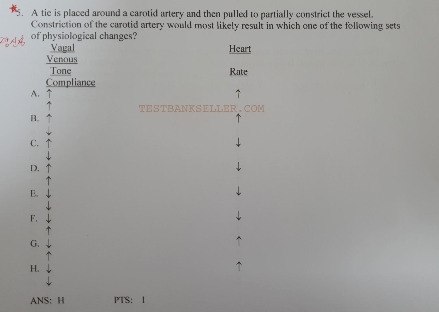 Solved 5. A tie is placed around a carotid artery and then | Chegg.com