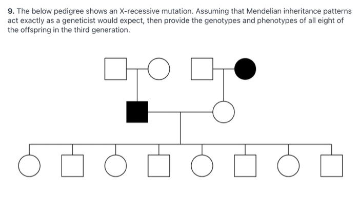 Solved 9. The below pedigree shows an X-recessive mutation. | Chegg.com