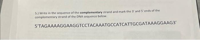 Solved 5.) Write in the sequence of the complementary strand | Chegg.com Solved 5.) Write in the sequence of the complementary strand | Chegg.com