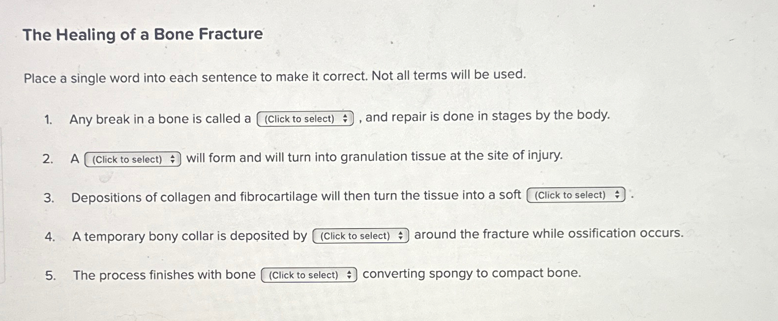 Solved The Healing of a Bone FracturePlace a single word | Chegg.com