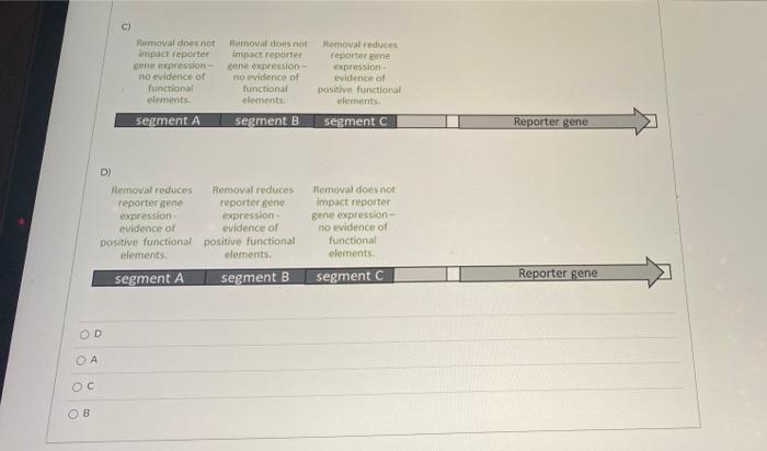 Solved S. Mapping functional sequence elements on a | Chegg.com