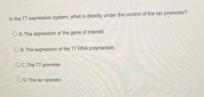 Solved In the T7 expression system, what is directly under | Chegg.com