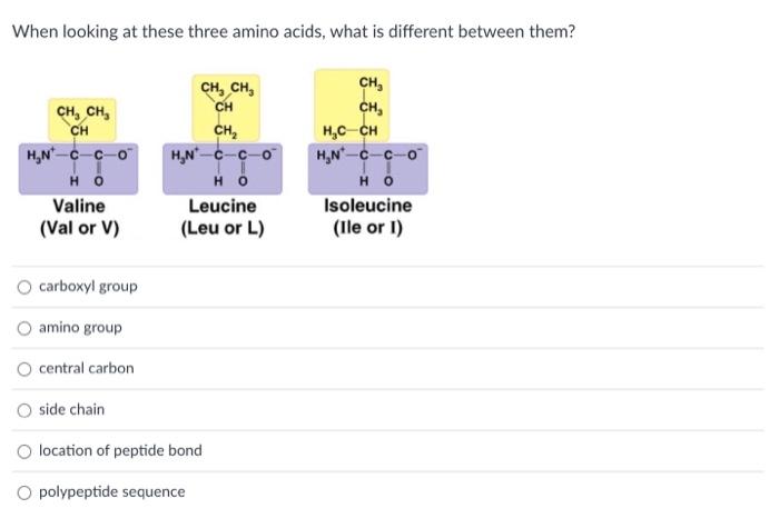 Solved When looking at these three amino acids, what is | Chegg.com