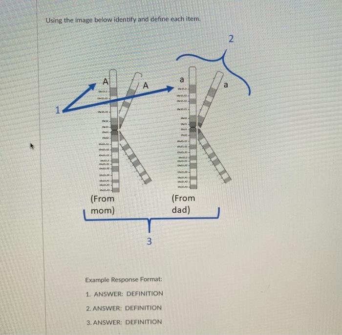 Solved Using the image below identify and define each item. | Chegg.com