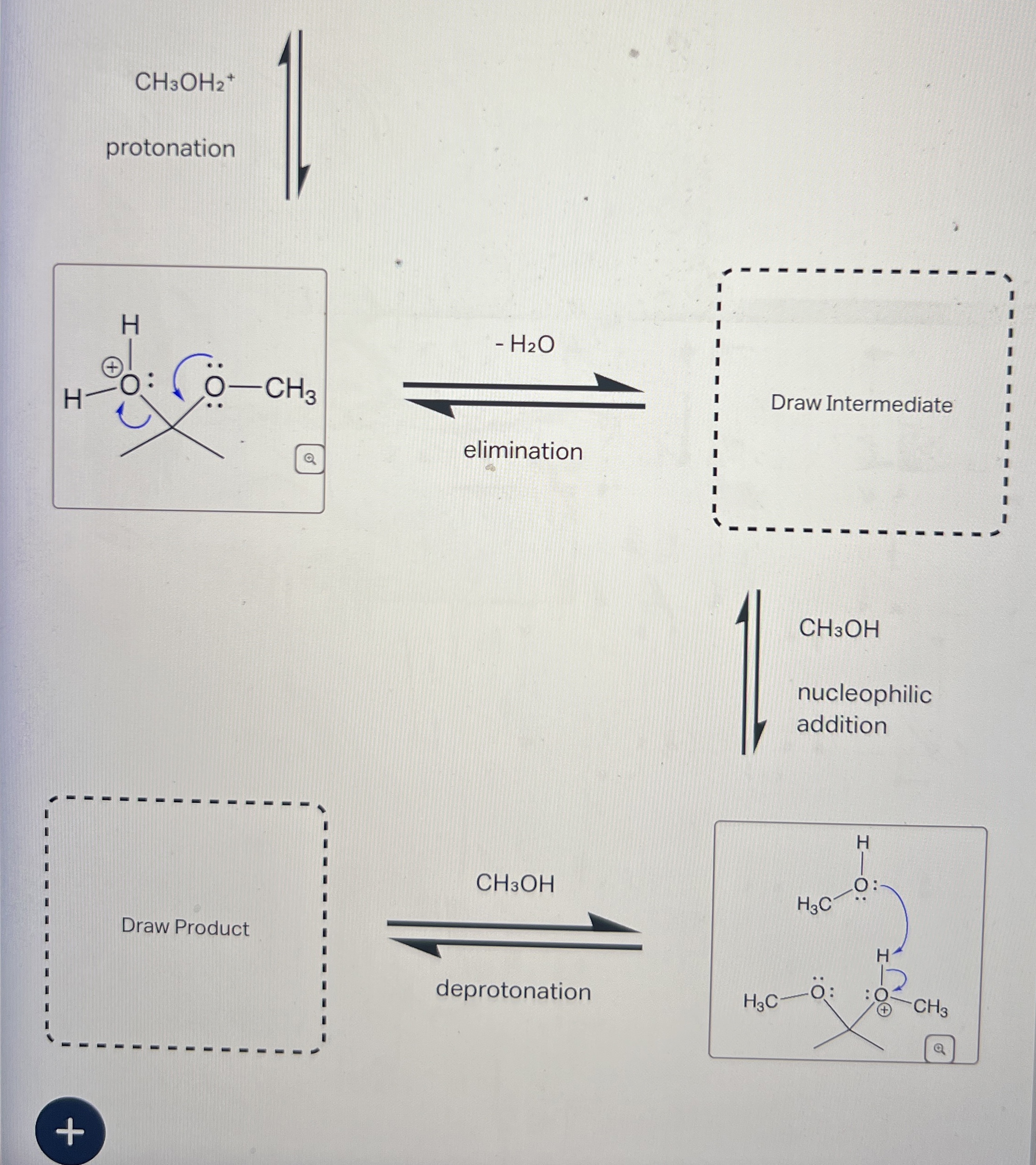 Solved protonationDraw Intermediate | Chegg.com