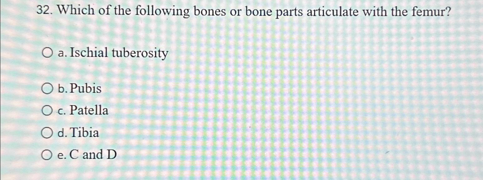 Solved Which of the following bones or bone parts articulate | Chegg.com