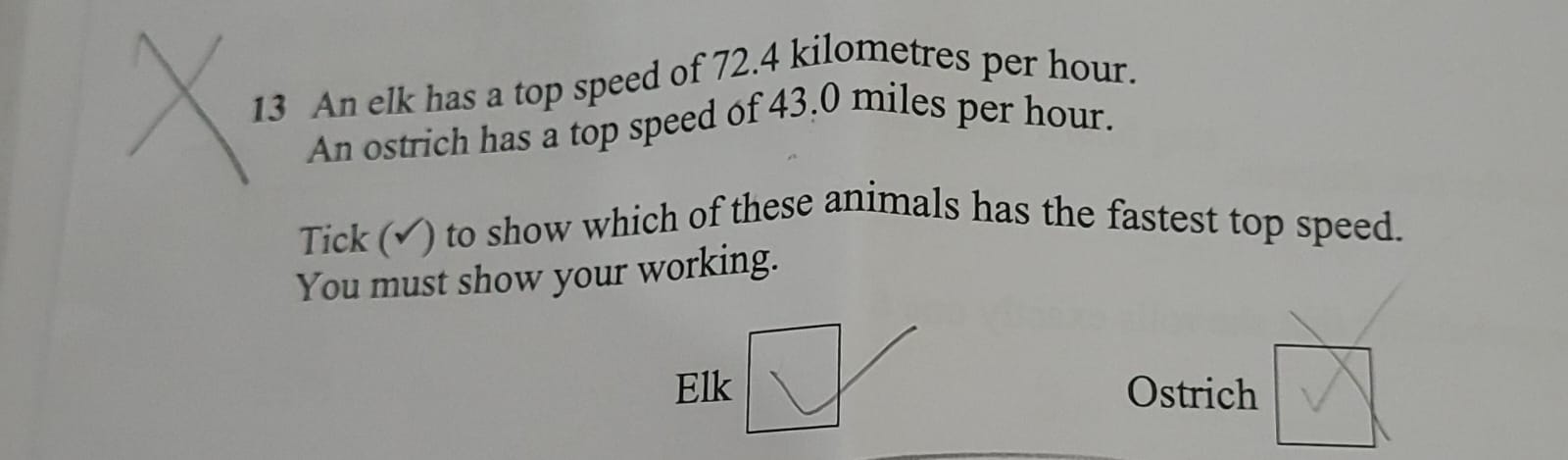 Solved 13 ﻿An elk has a top speed of 72.4 ﻿kilometres per | Chegg.com