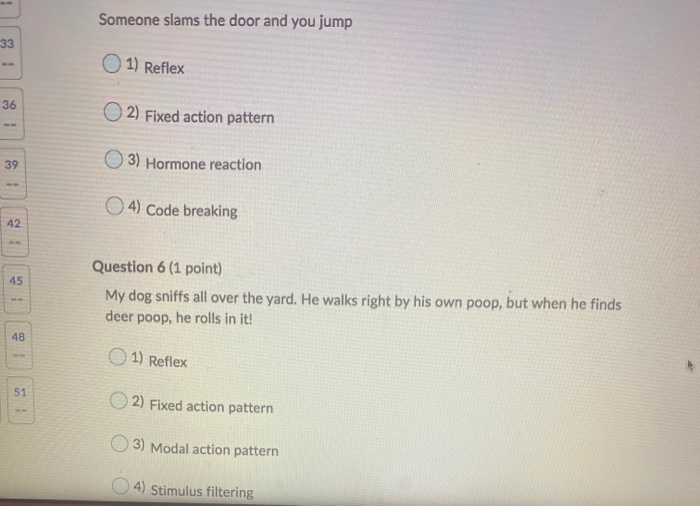 Solved Herring gull chicks peck at a red spot on the | Chegg.com