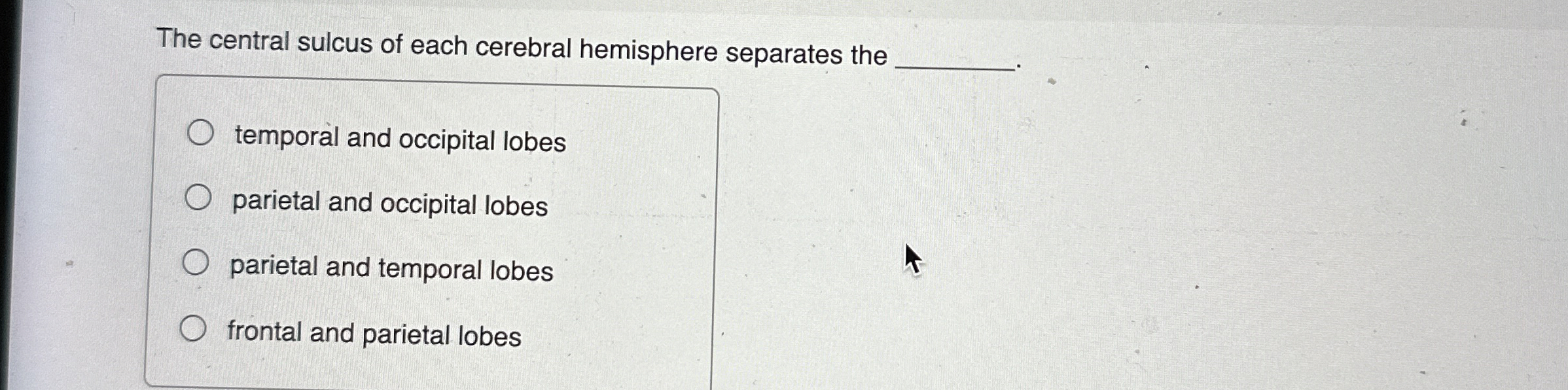 Solved The central sulcus of each cerebral hemisphere | Chegg.com
