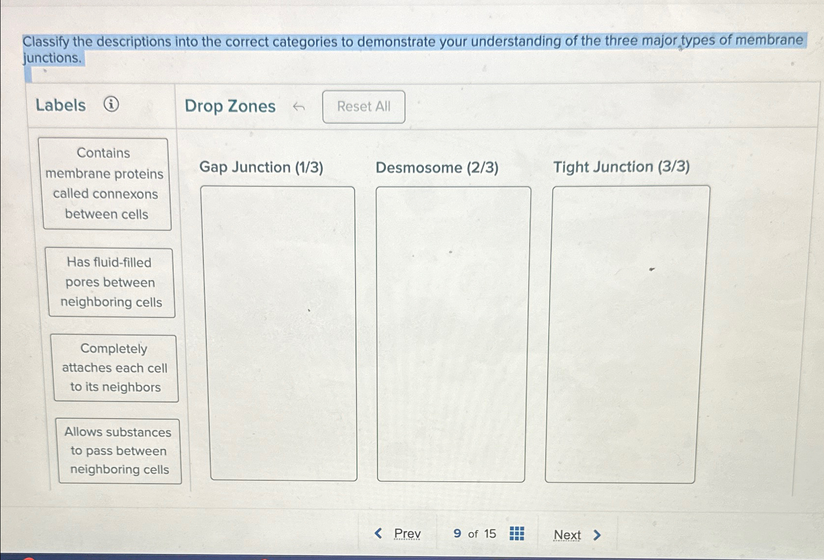 Solved Classify the descriptions into the correct categories | Chegg.com