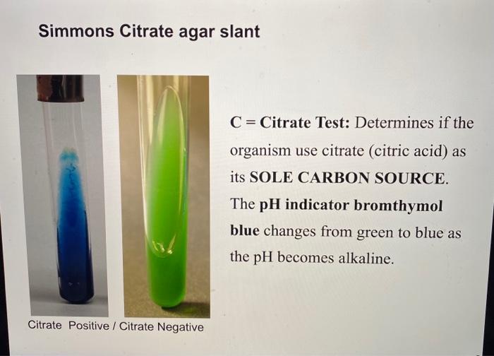 Solved Experiment 33 IMVIC Test The IMVIC series of tests is | Chegg.com