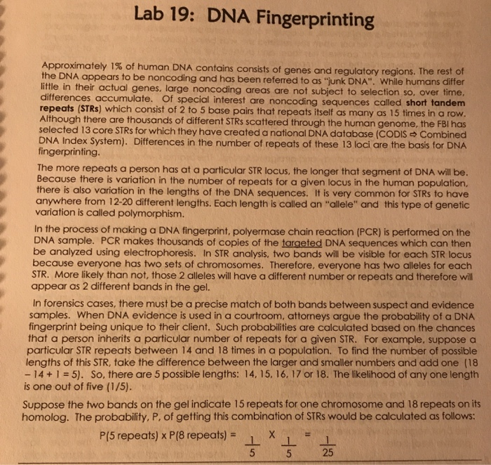 Solved Lab Report 19: DNA Fingerprinting 1. Draw in the | Chegg.com