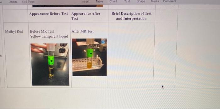Solved w Zoom Add Page Insert Table Chart Text Shape Media | Chegg.com