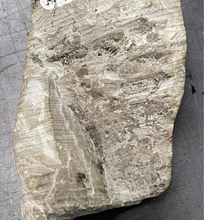 Solved can you answer those questions for each rock:*Dunham | Chegg.com