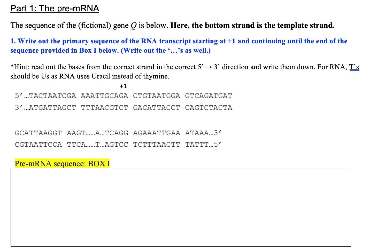 Solved Part 1: The pre-mRNAThe sequence of the (fictional) | Chegg.com