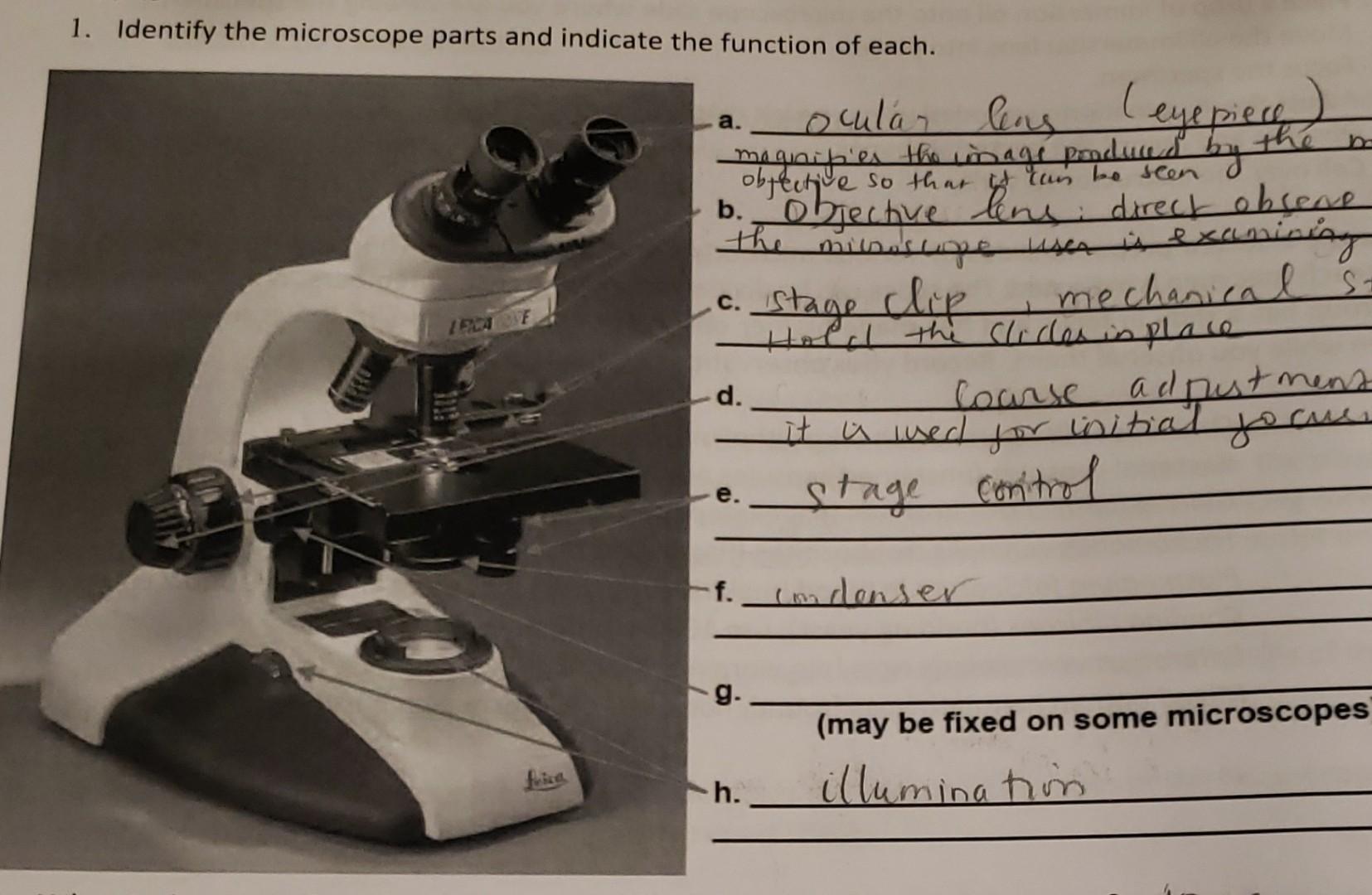 Solved 1. Identify the microscope parts and indicate the | Chegg.com