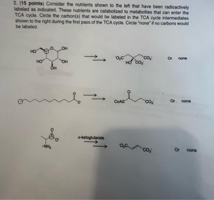Solved 2. (15 points) Consider the nutrients shown to the | Chegg.com