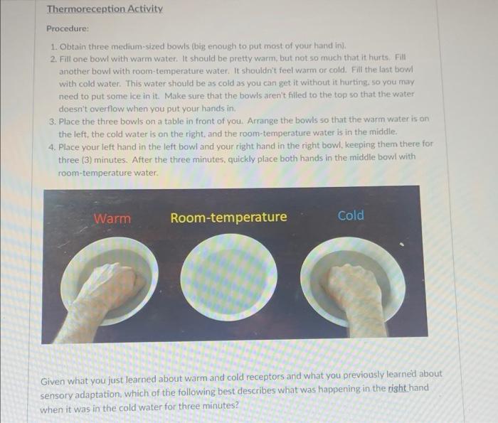 Solved Thermoreception Activity Procedure: 1. Obtain three | Chegg.com