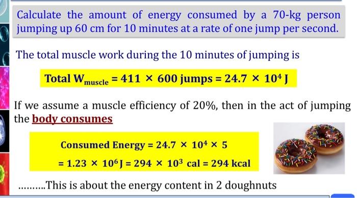 Solved Calculate the amount of energy consumed by a 70-kg | Chegg.com