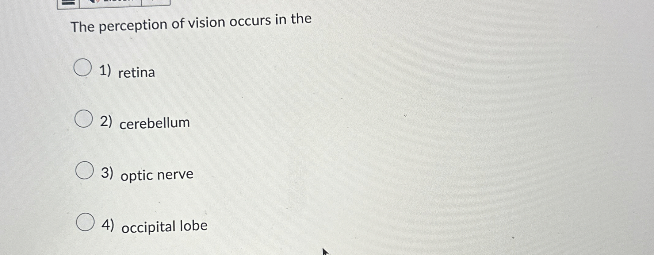 Solved The perception of vision occurs in | Chegg.com