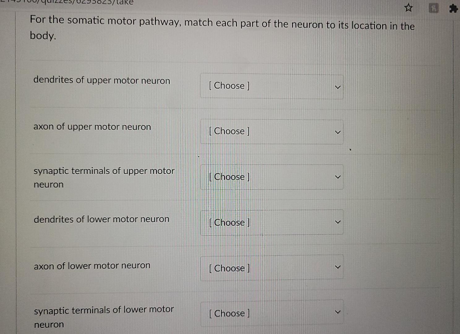Solved For the somatic motor pathway, match each part of the | Chegg.com