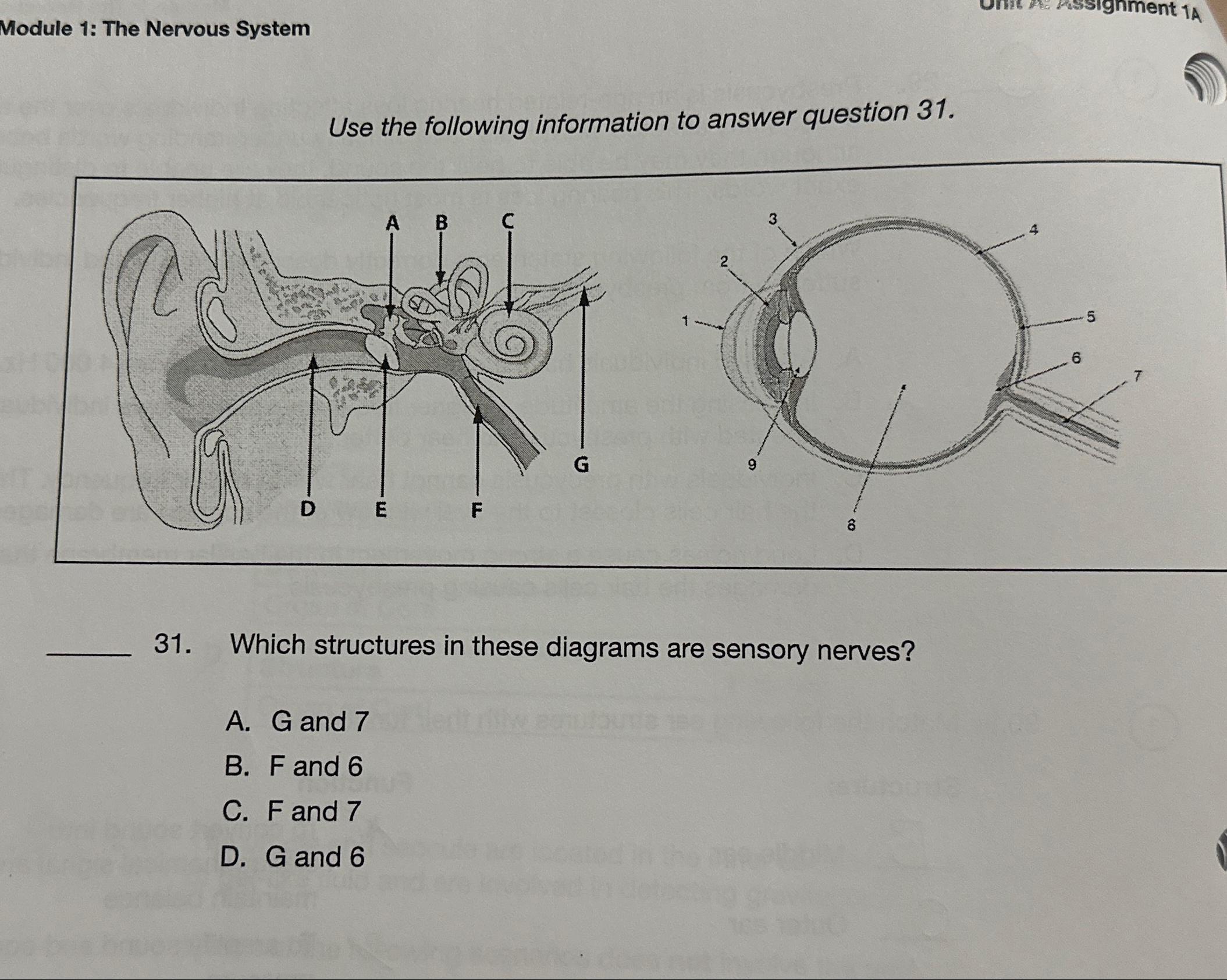 Solved Module 1: The Nervous SystemUse the following | Chegg.com