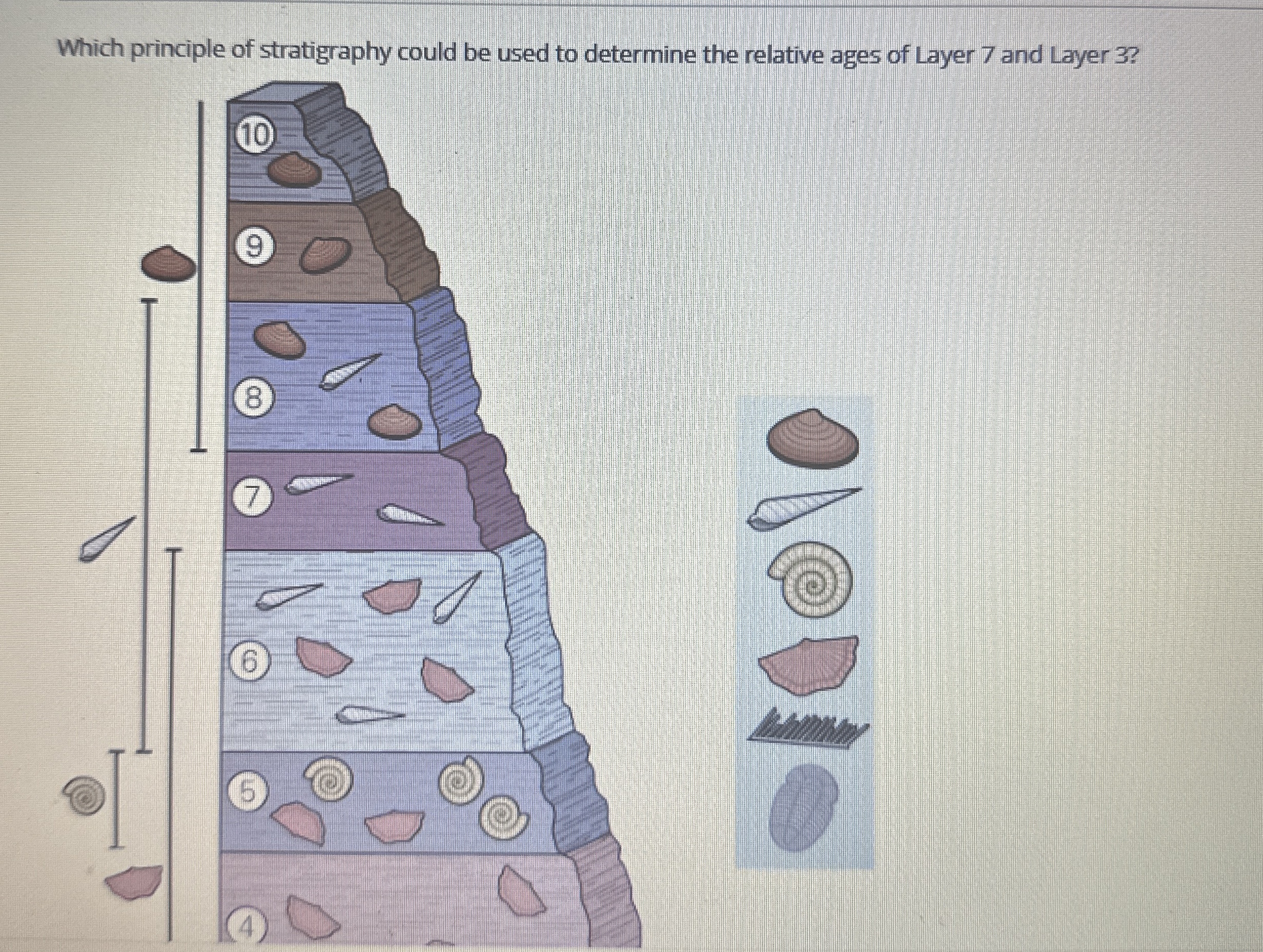 Solved Which principle of stratigraphy could be used to | Chegg.com
