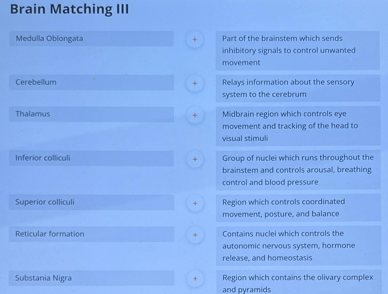 Solved Brain Matching IIIMedulla | Chegg.com